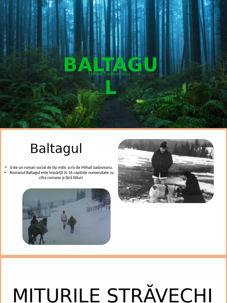 Proiect Romana | PDF