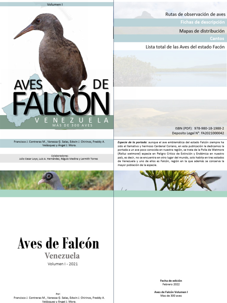 Libro Aves de Falcon 2022 C | PDF