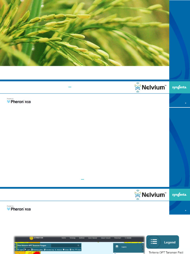 Final - Nelvium Product Knowledge Training | PDF