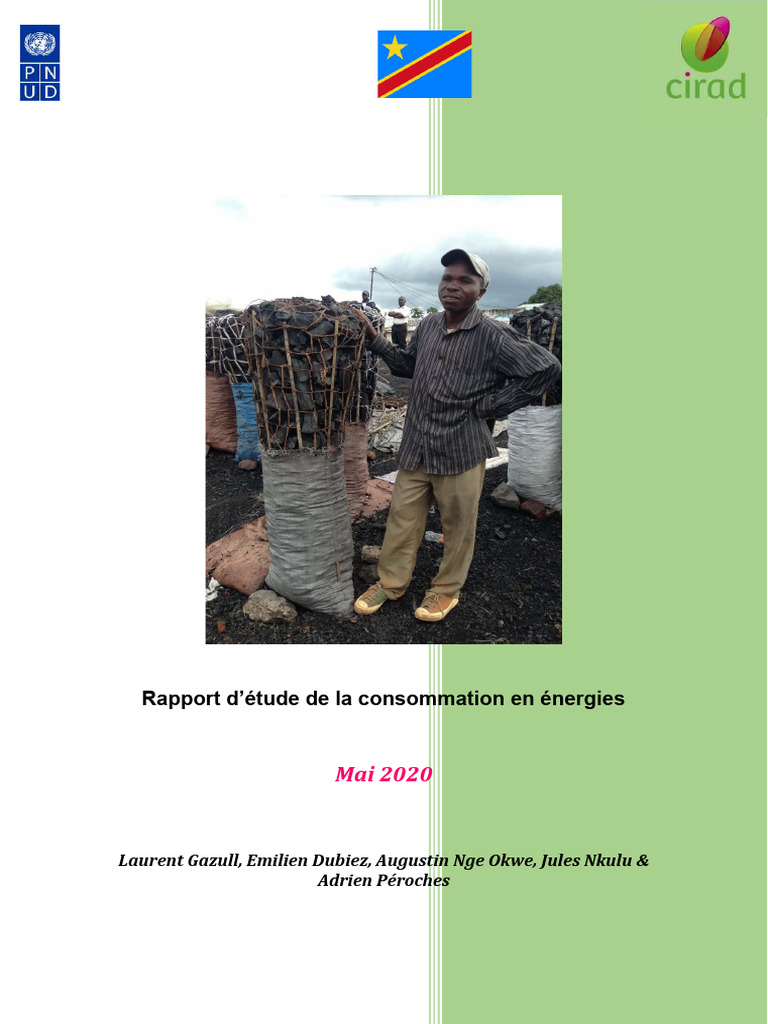 UNDP-CD-Rapport Consommation Lubumbashi VF 0 | PDF