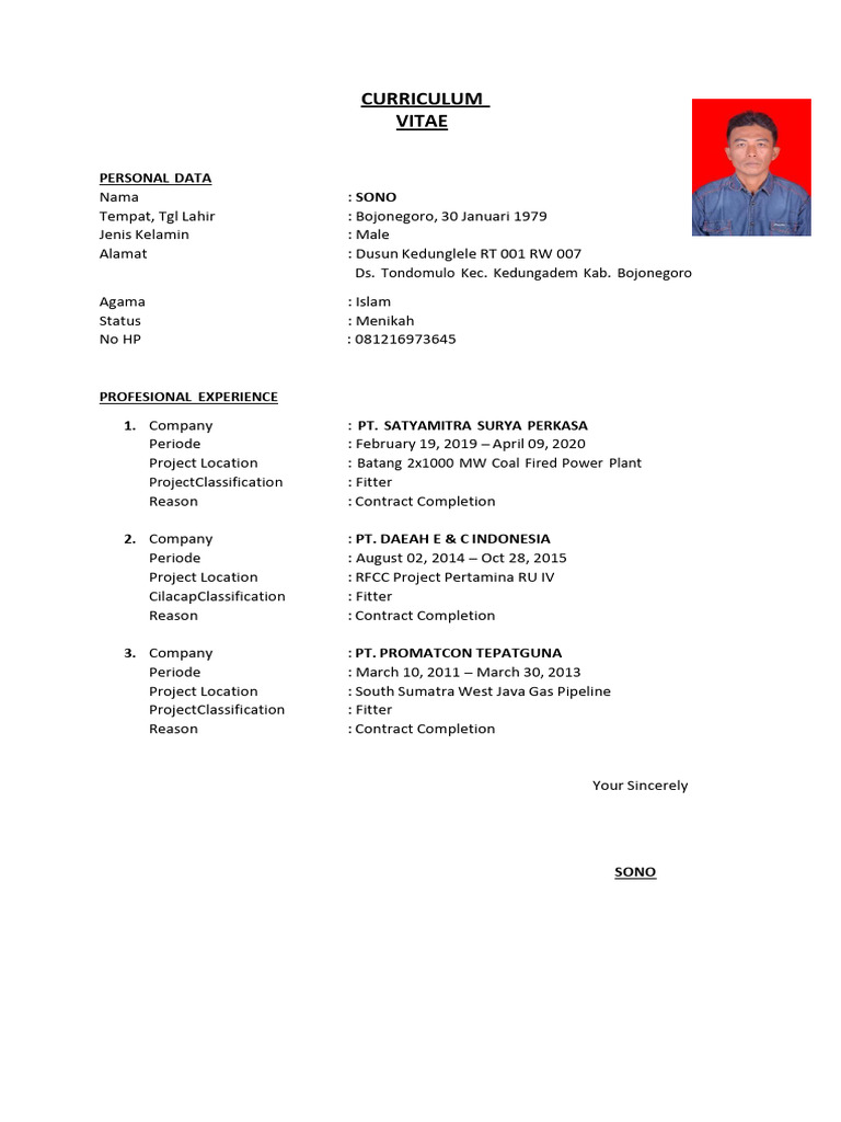 CV Pak Sono. | PDF