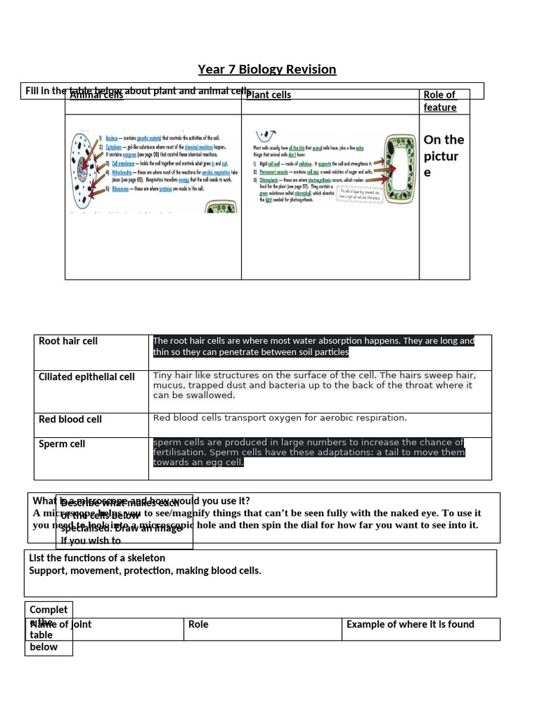 Year 7 Biology Exam Revision | PDF