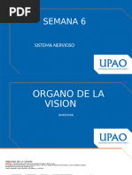 Crizal Family Availability Chart | PDF | Lens (Optics) | Lenses