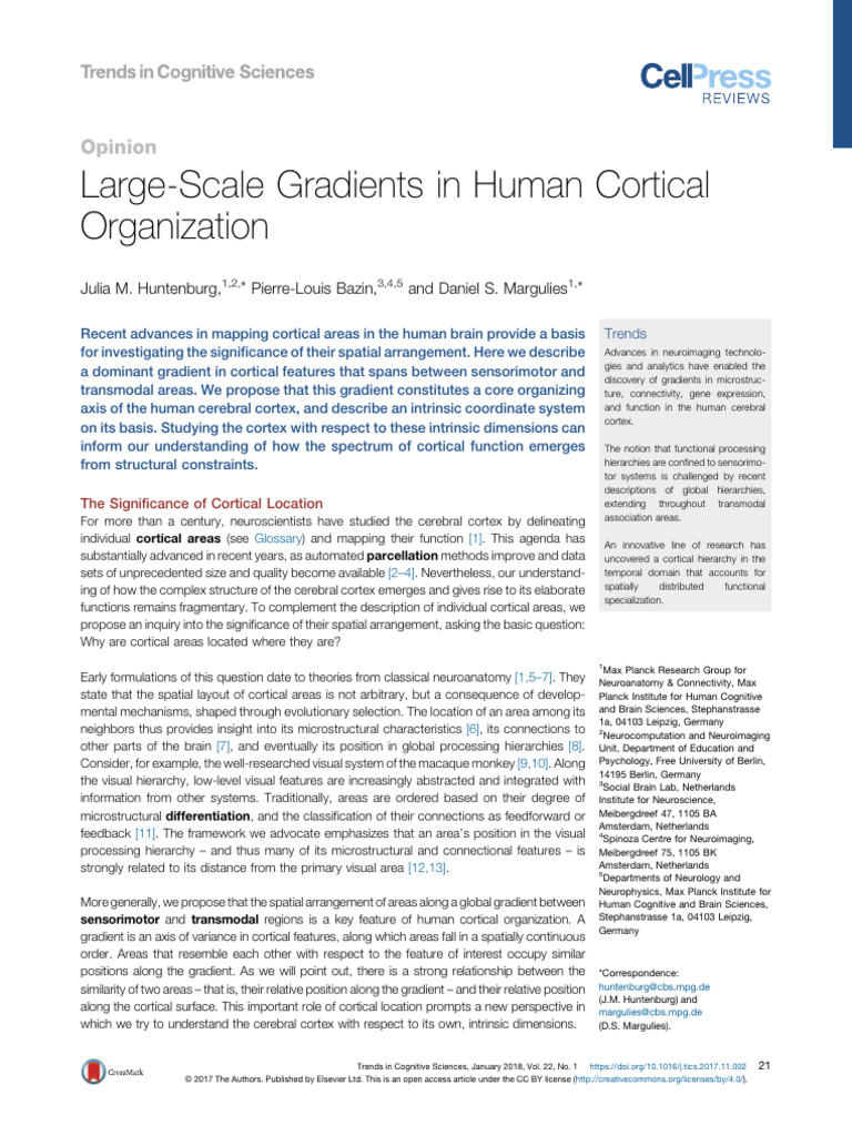 Large Scale Gradients in Human Cortical Organizati | PDF