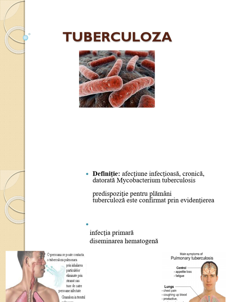 LP 4 Tuberculoza | PDF