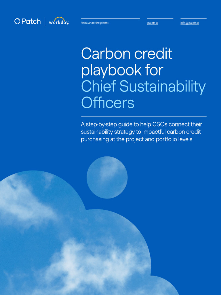 Workday CSO Playbook | PDF