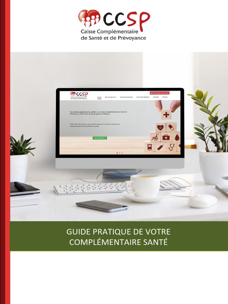 Guide General CCSP | PDF