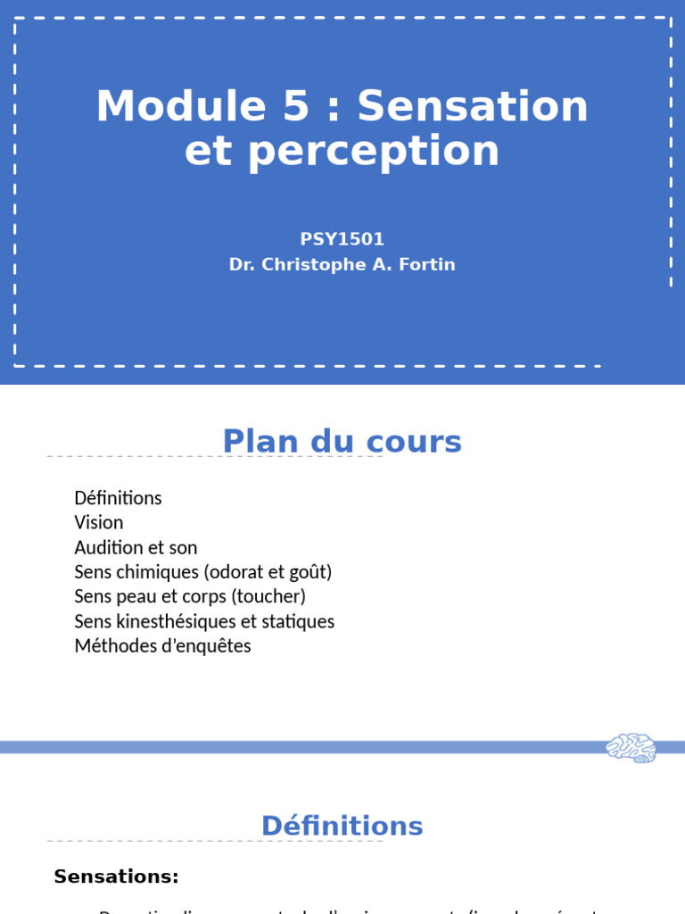 PSY15101 - Module 5 - Sensation Et Perception | PDF