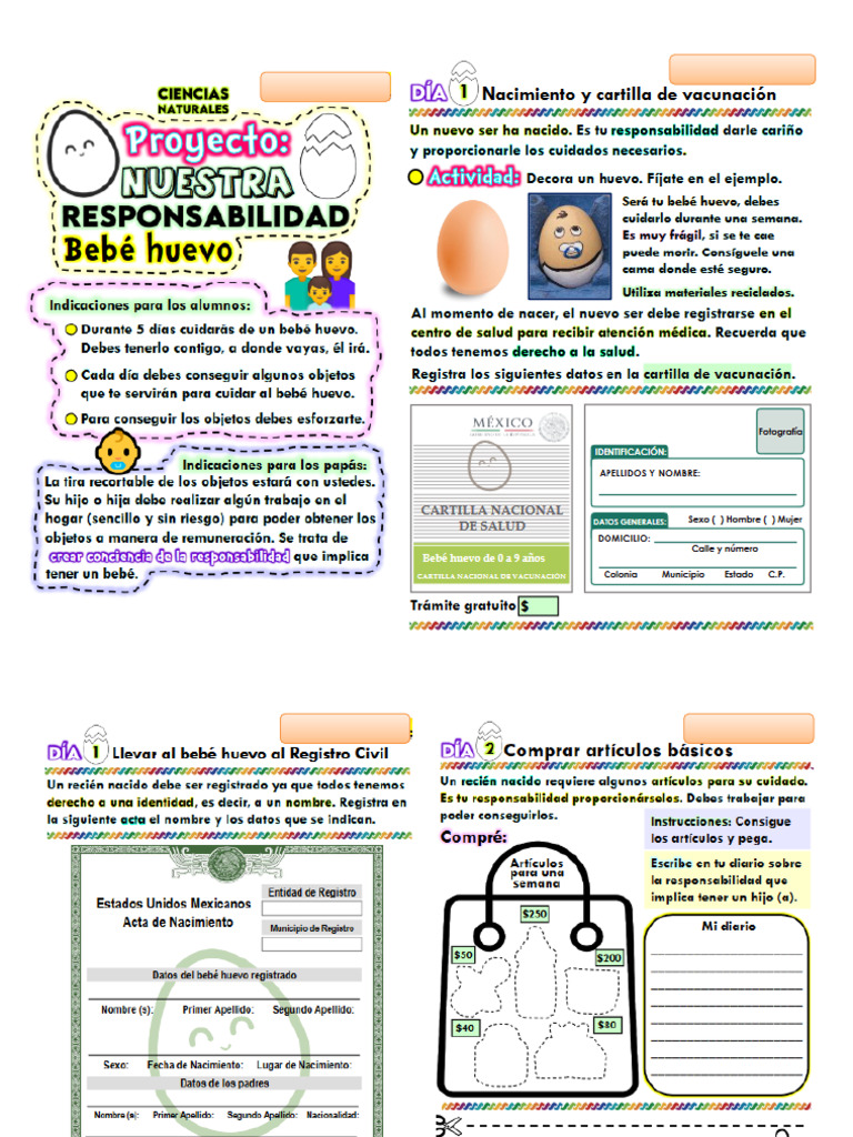 Proyecto Huevo | PDF