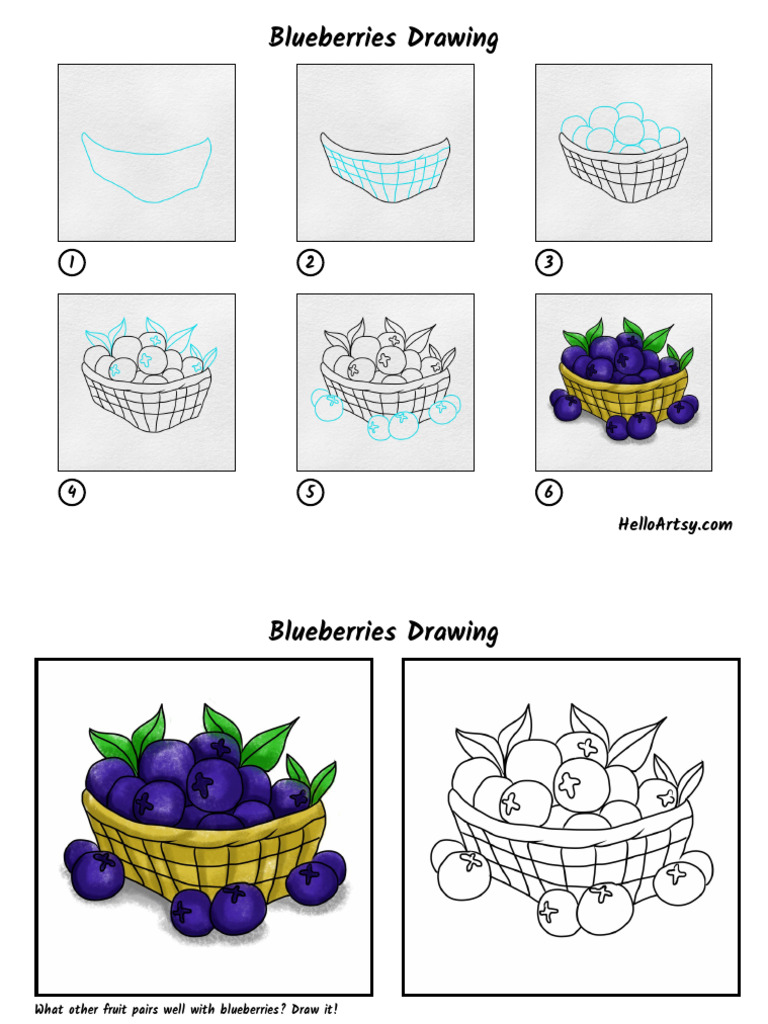 Easy Blueberries Drawing Guide | PDF