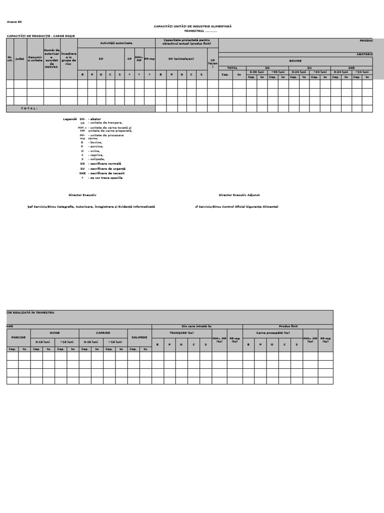 Anexa 6 Capacitati de Productie | PDF