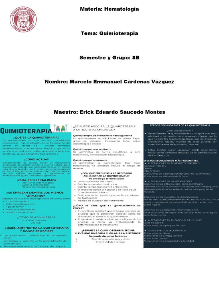 Quim Iot Era Pia | PDF