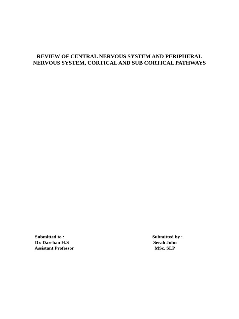 Review of Central Nervous System and Peripheral Nervous System | PDF ...