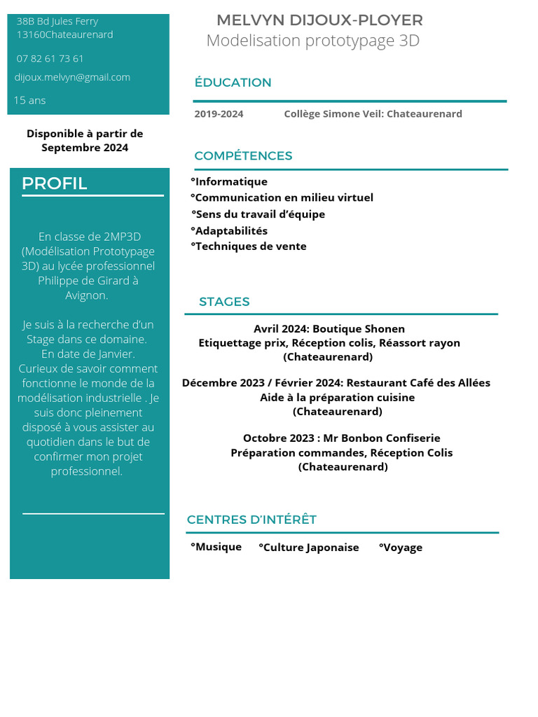 CV de Melvyn PDF | PDF