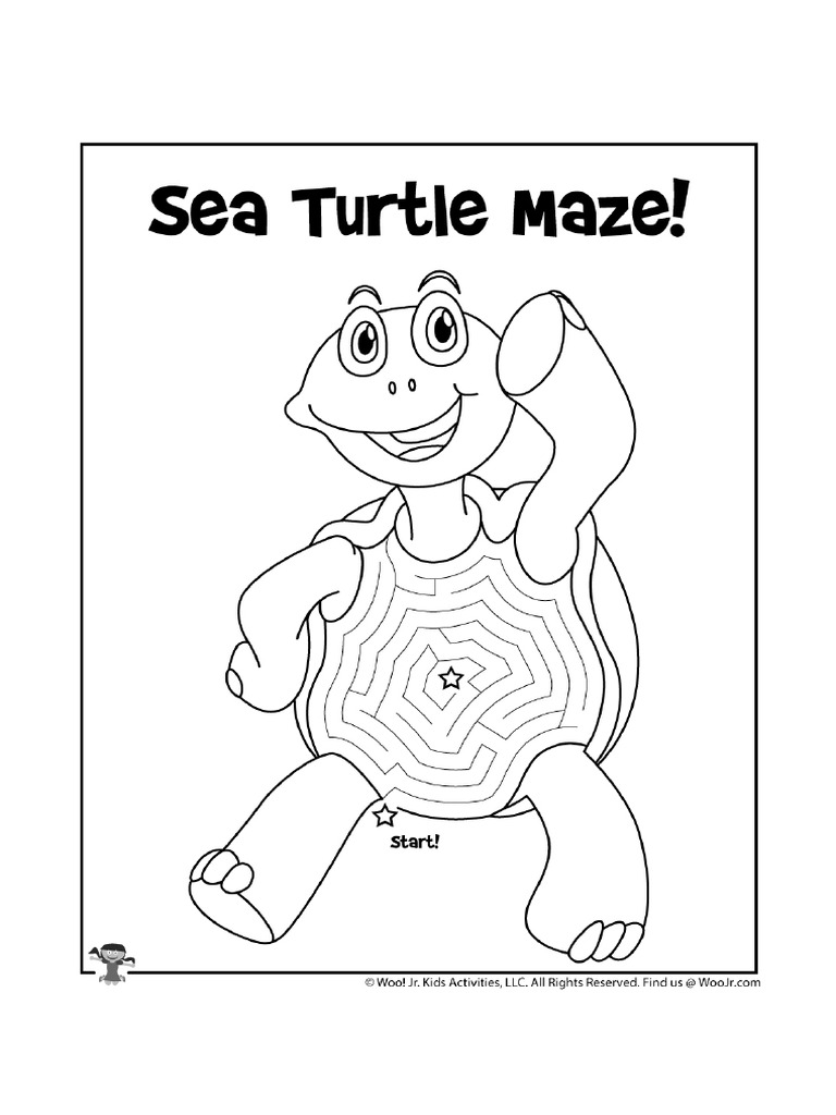 Bug Andwater Mazes Turtle | PDF
