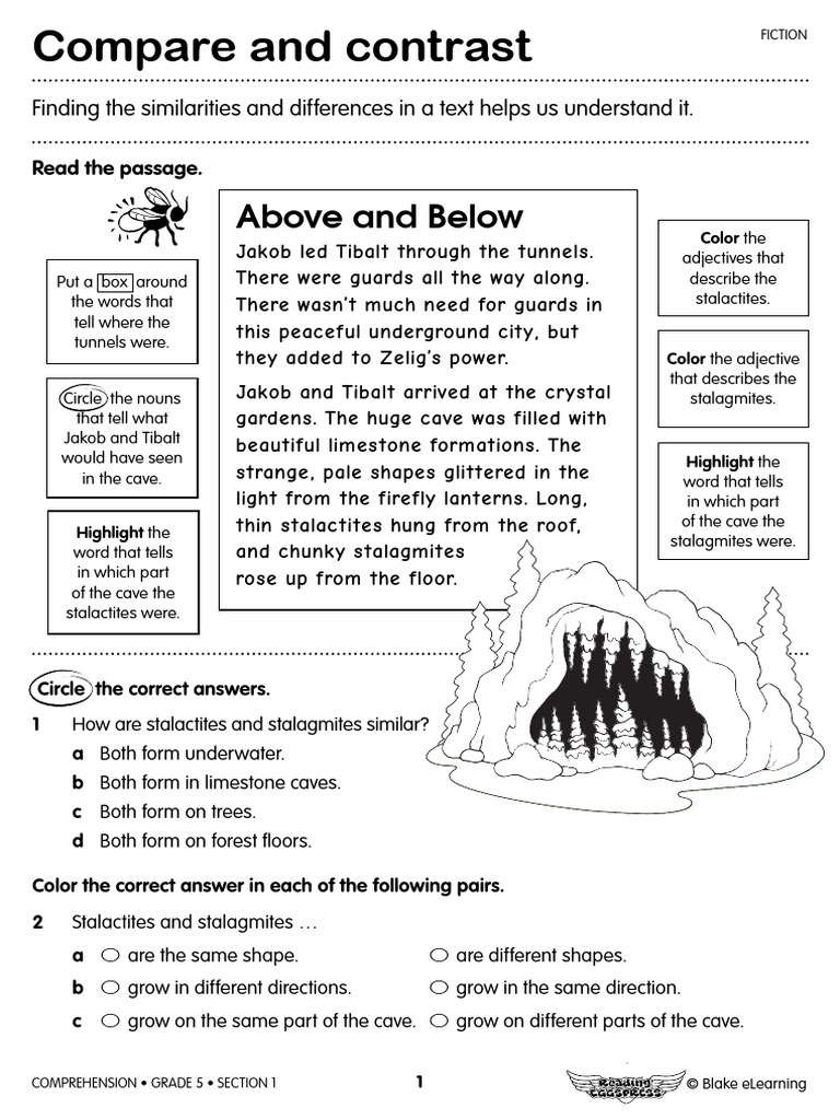 Comprehension Questions | PDF | Cave | Language Arts & Discipline