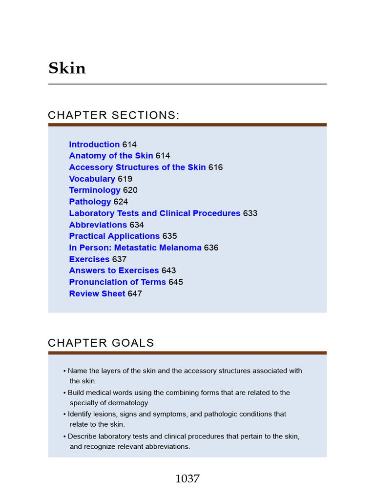 (Avcn 2) - Skin | PDF