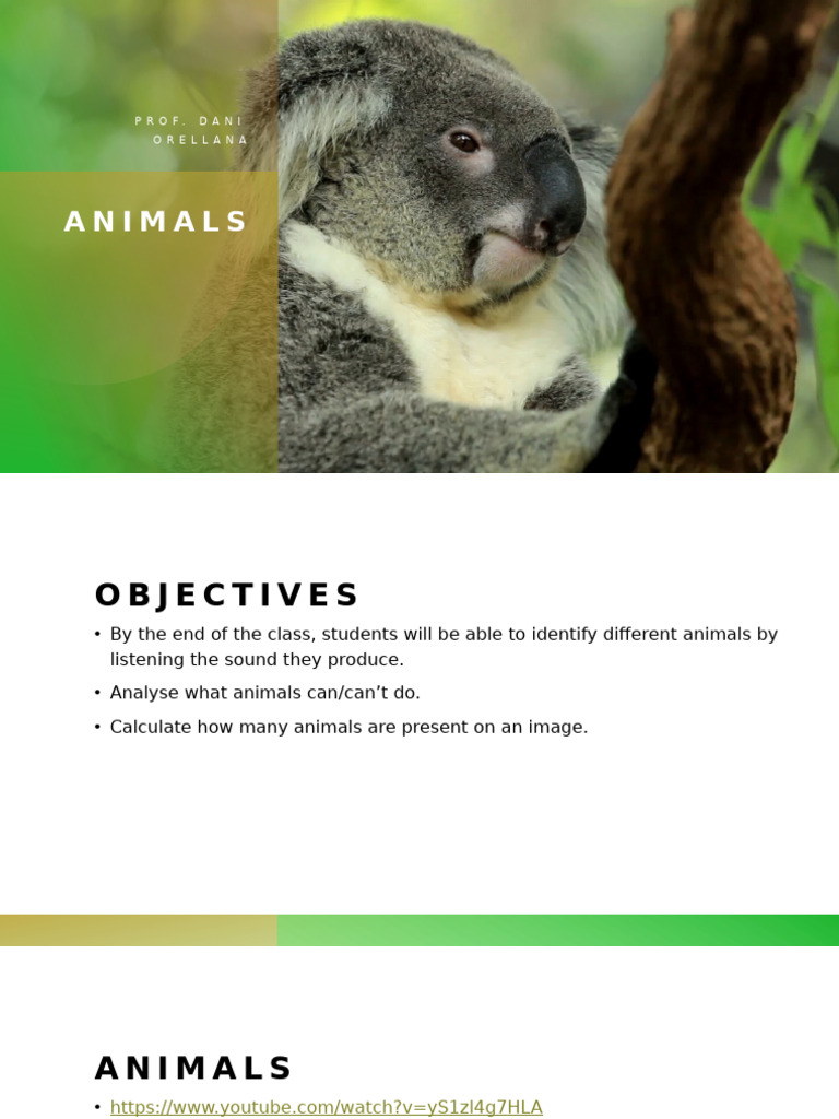 Animals | PDF