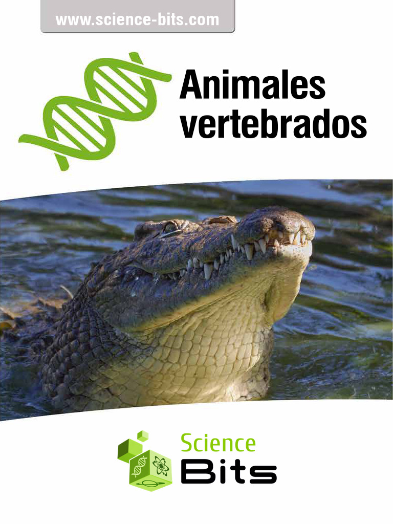 Los Animales Vertebrados PDF | PDF