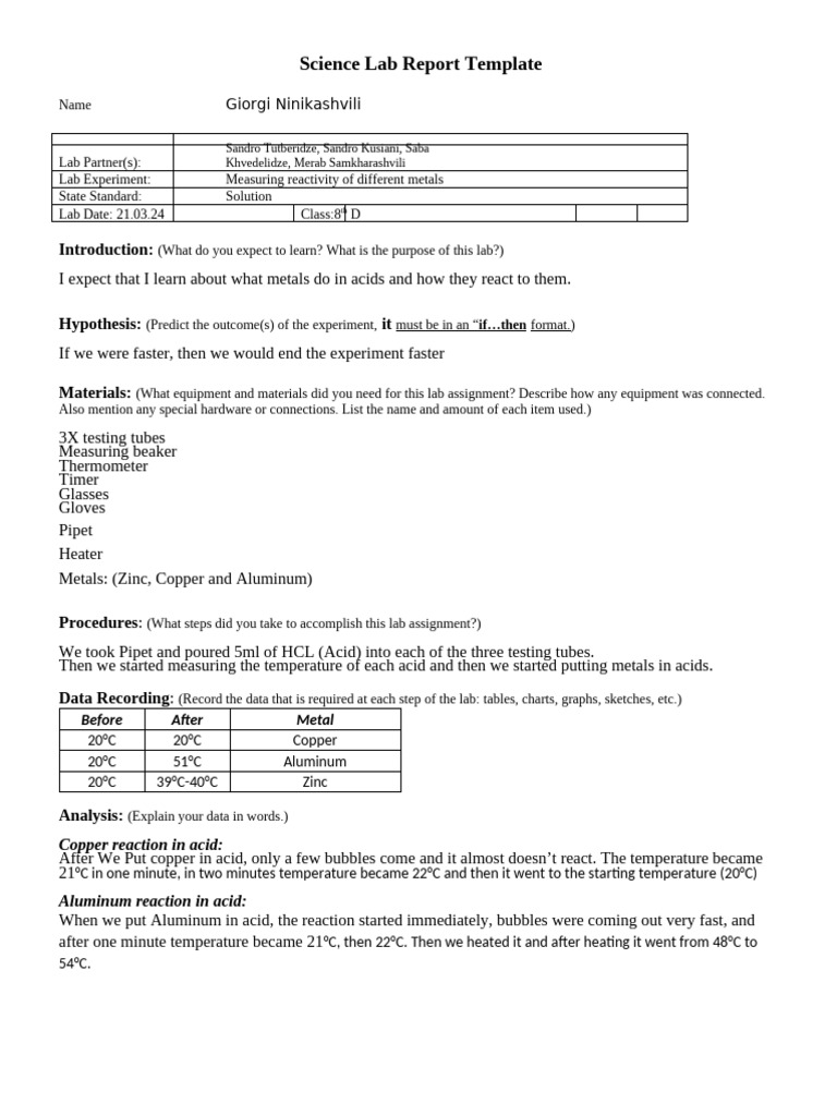 Lab Report Template 01 | PDF