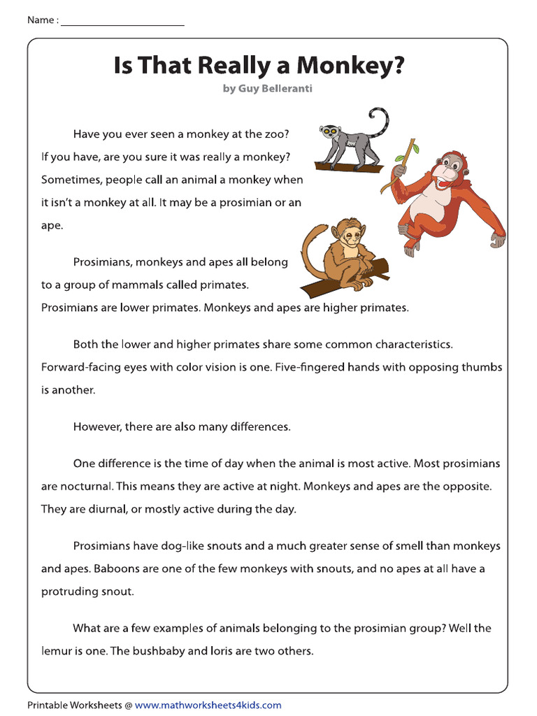 Monkey | PDF