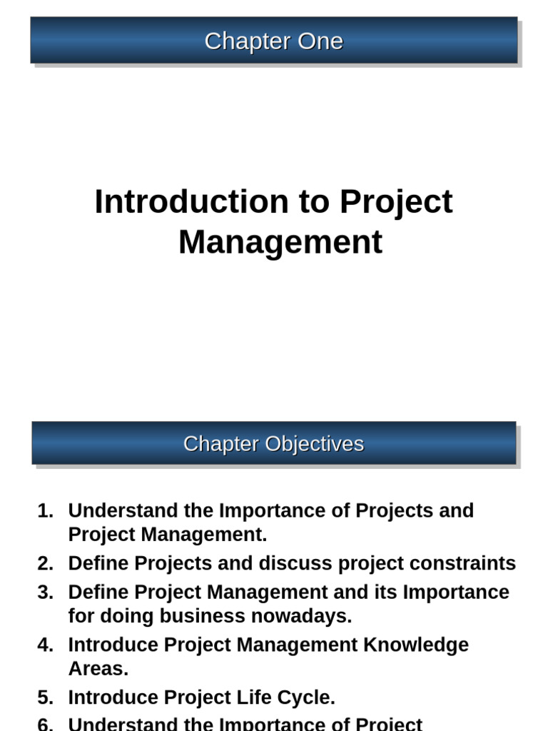 CH 01 | PDF | Project Management | Business