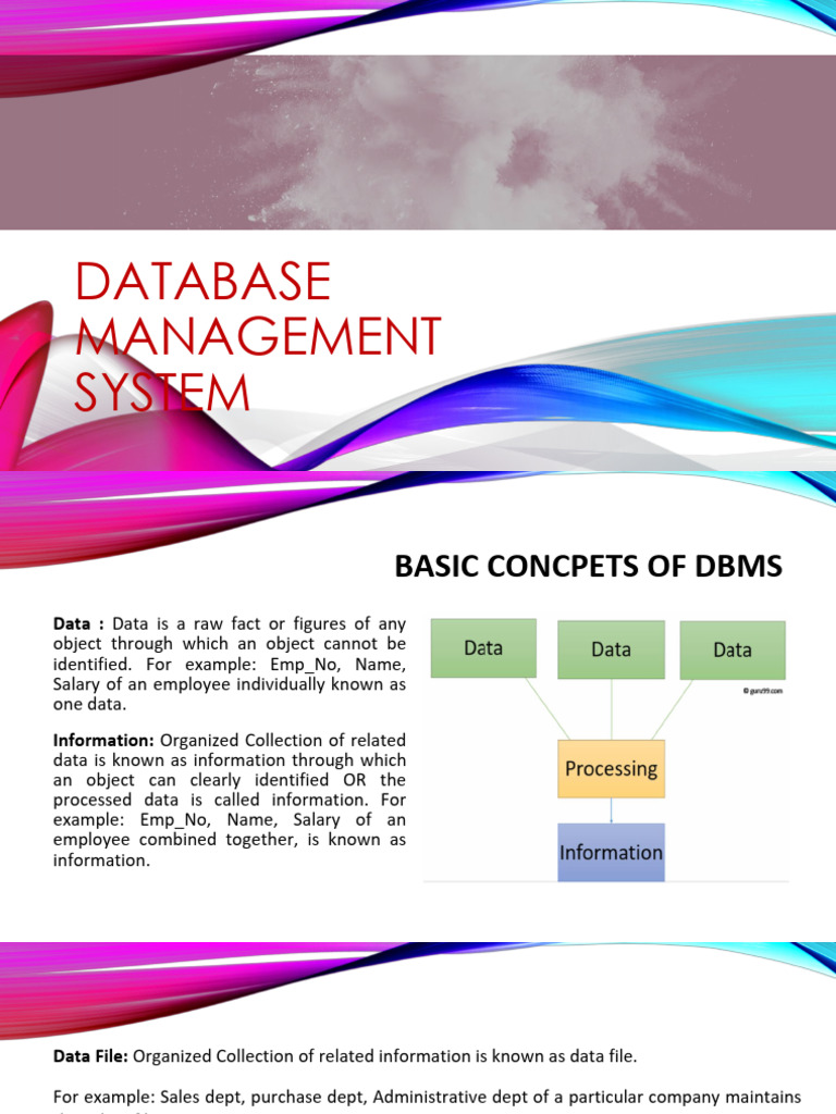 DBMS Notes 1 | PDF