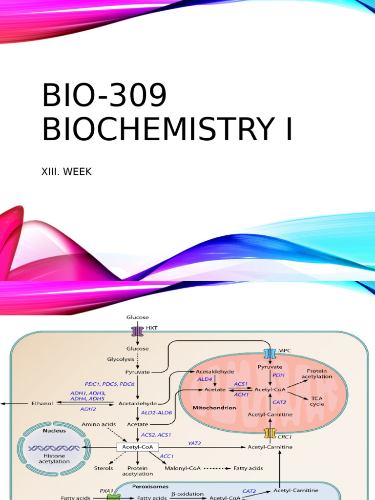 BIO-309 13.week | PDF