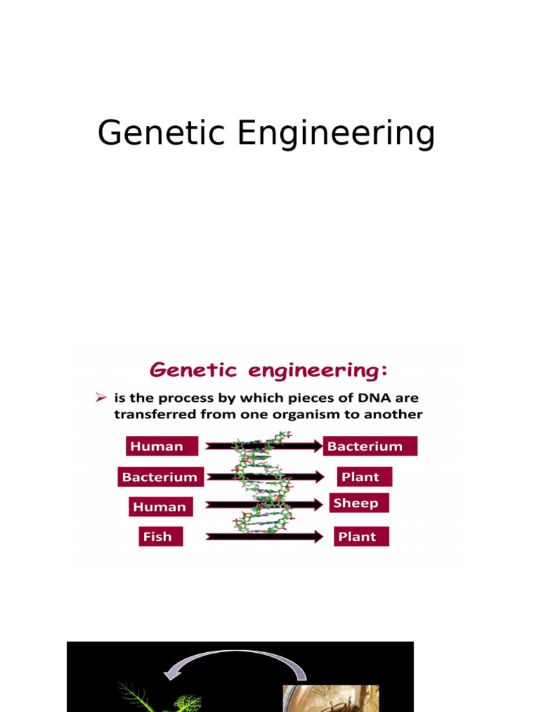 Genetic Engineering | PDF