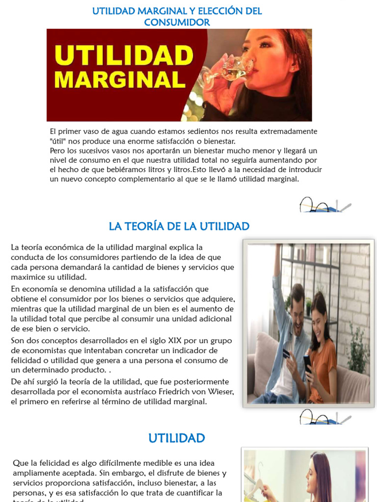 Utilidad Marginal y Elección Del Consumidor | PDF