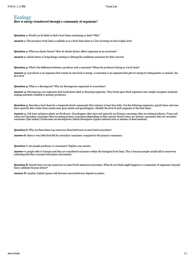 Virtual Lab1 | PDF