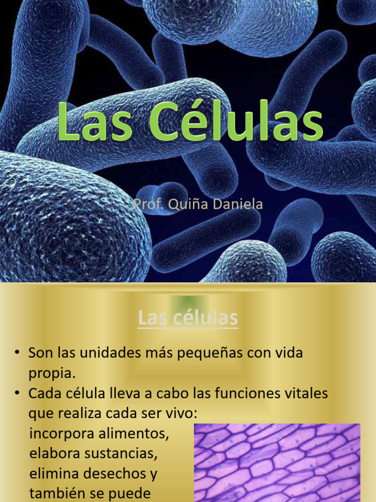 Las Celulas | PDF