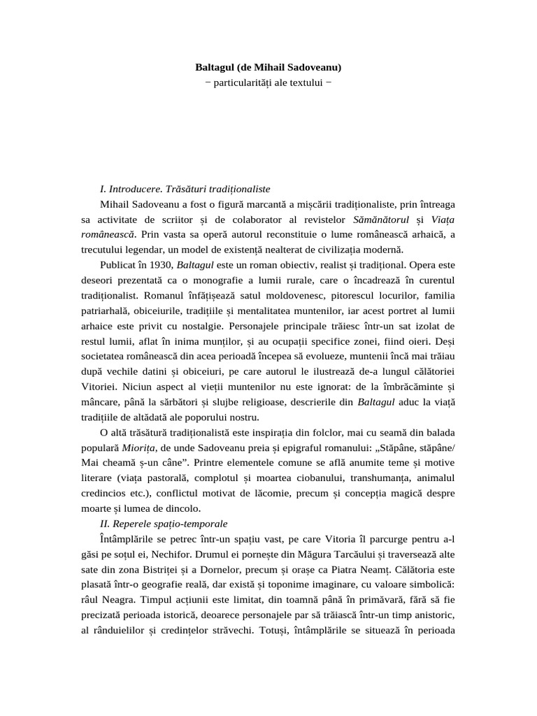 Baltagul Comentariu | PDF