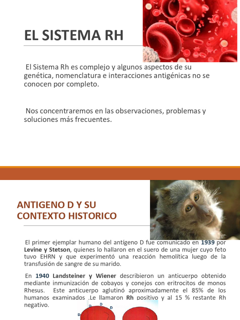 3 Teoria RH | PDF