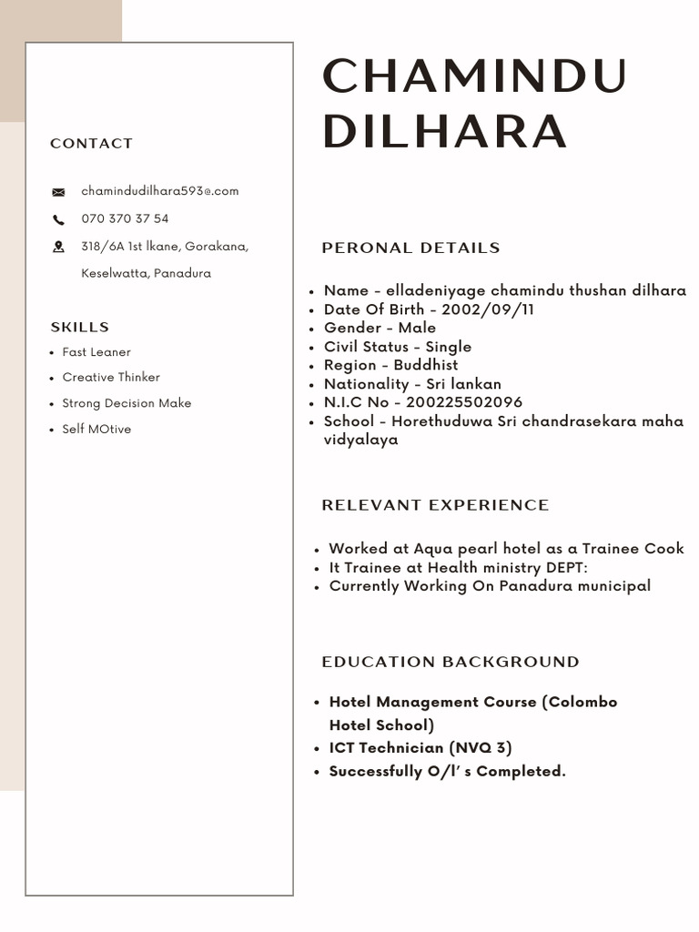 Simple Professional CV Resume | PDF