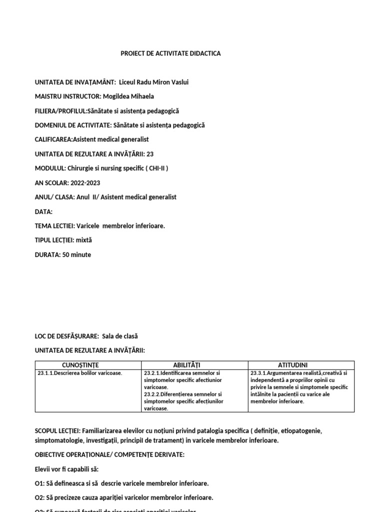 Proiect Lectie Mixta | PDF