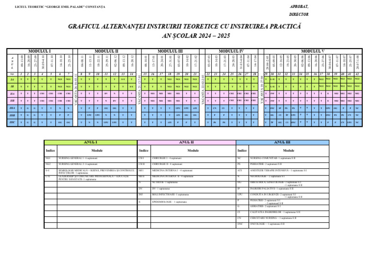 Grafic 2024-2025 | PDF