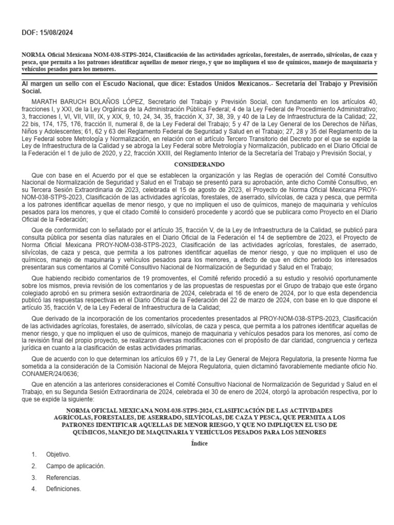 NORMA Oficial Mexicana NOM-038-STPS-2024 | PDF