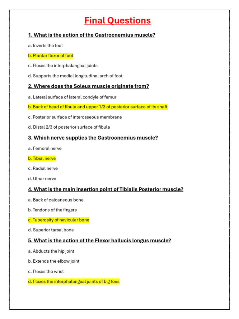 Final Questions | PDF