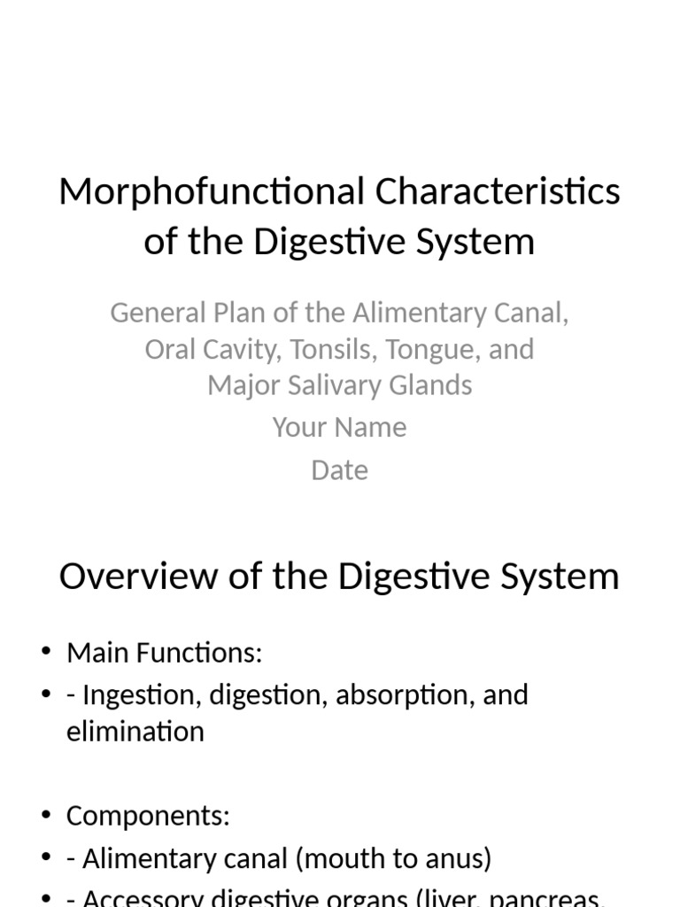 Digestive System Presentation | PDF