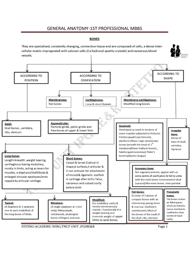 General Anatomy | PDF
