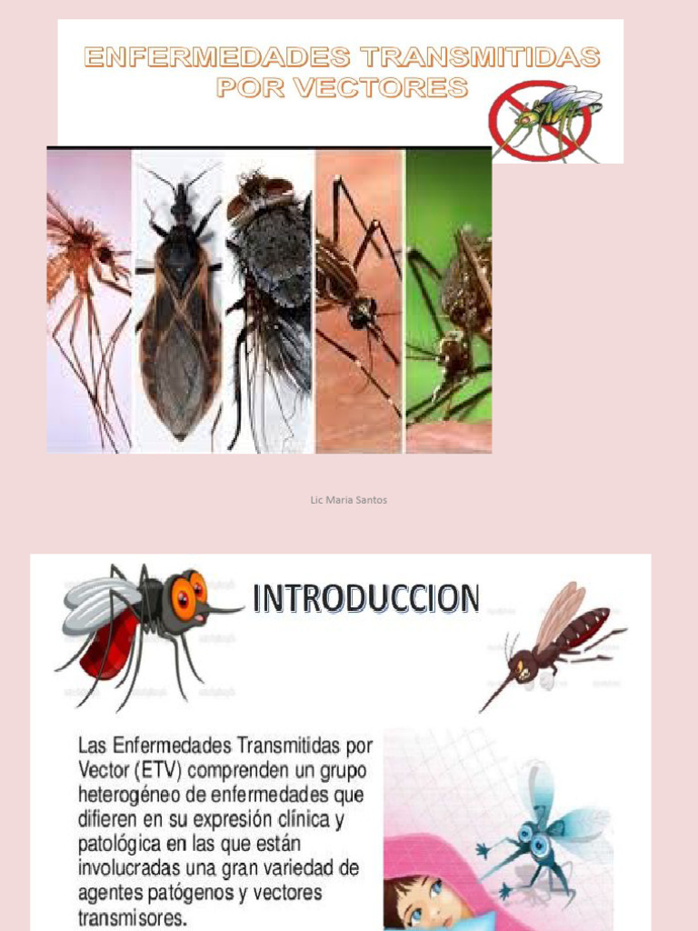 Enfermedades Por Vectores | PDF