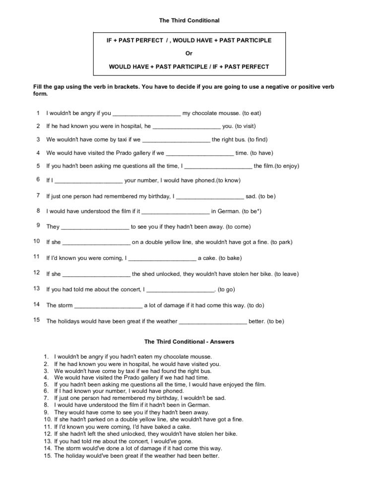 Understanding Third Conditional Usage | PDF | Language Arts & Discipline