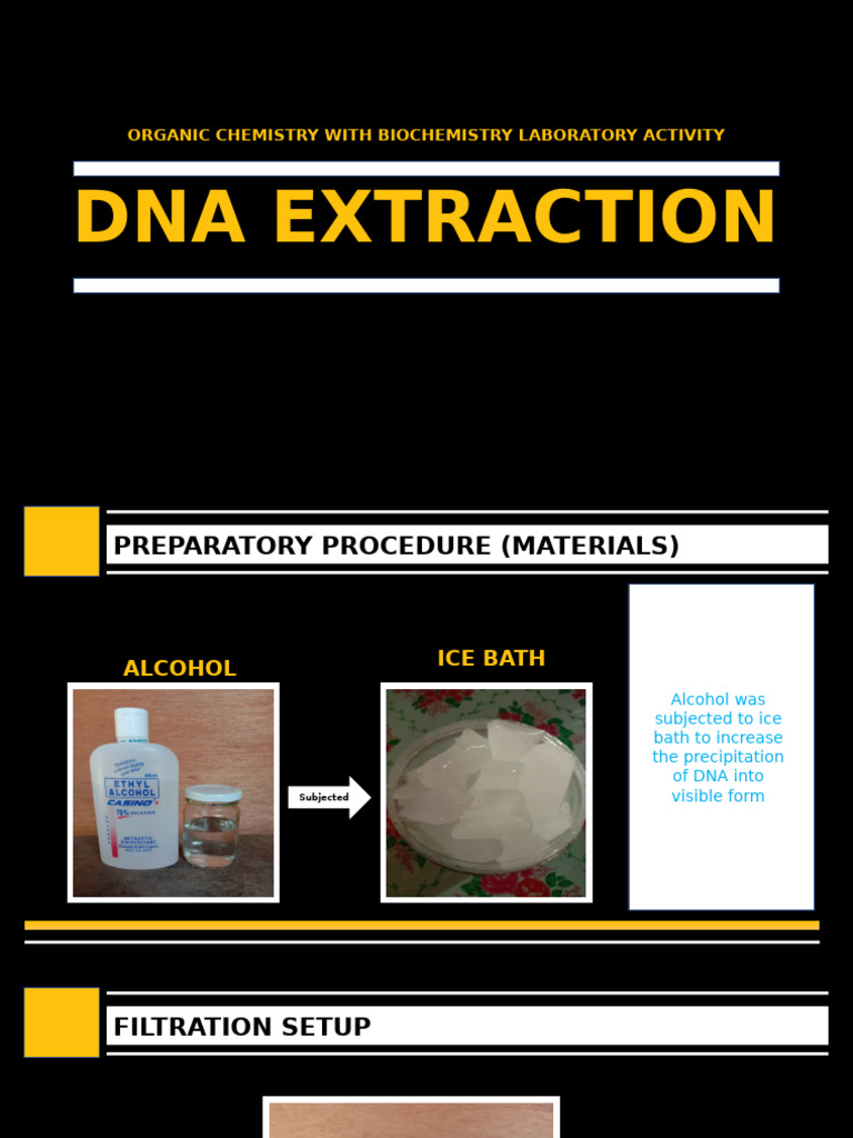 Dna Extraction Presentation | PDF