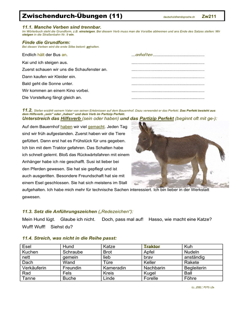 Trennbare Verben | PDF