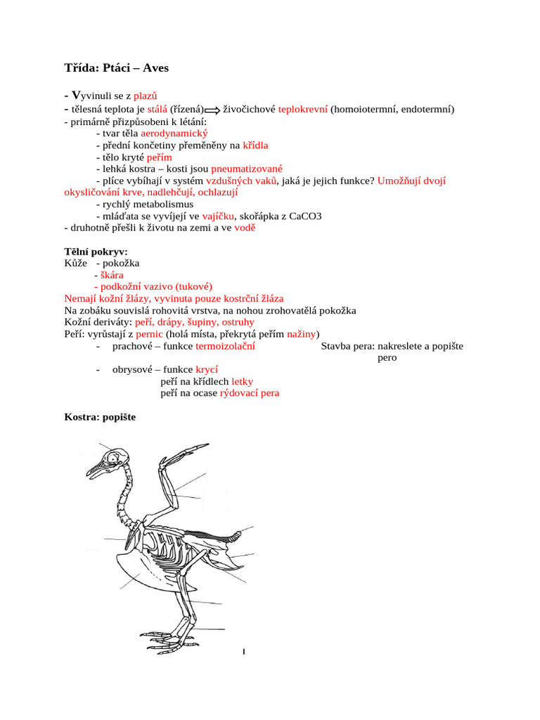 Ptáci - Pracovní List1 Vyplněný | PDF