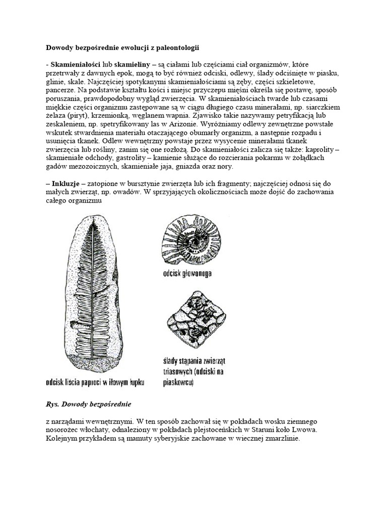 Ewolucja PDF | PDF