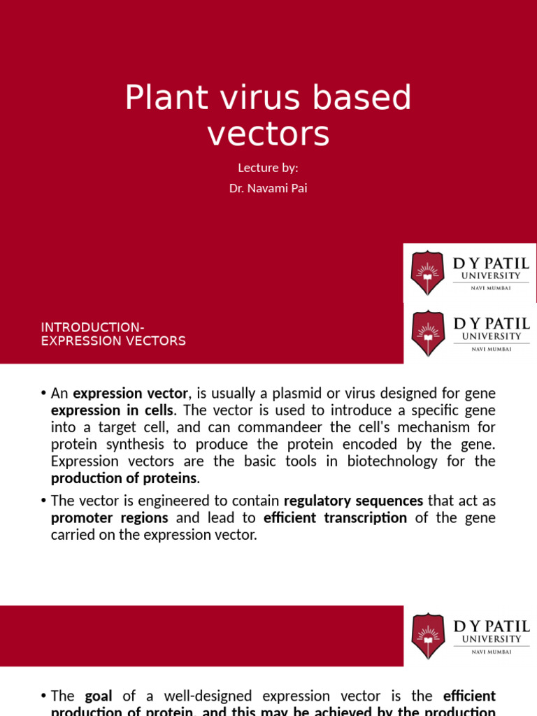 Plant Virus Based Vectors | PDF | Vector (Molecular Biology ...
