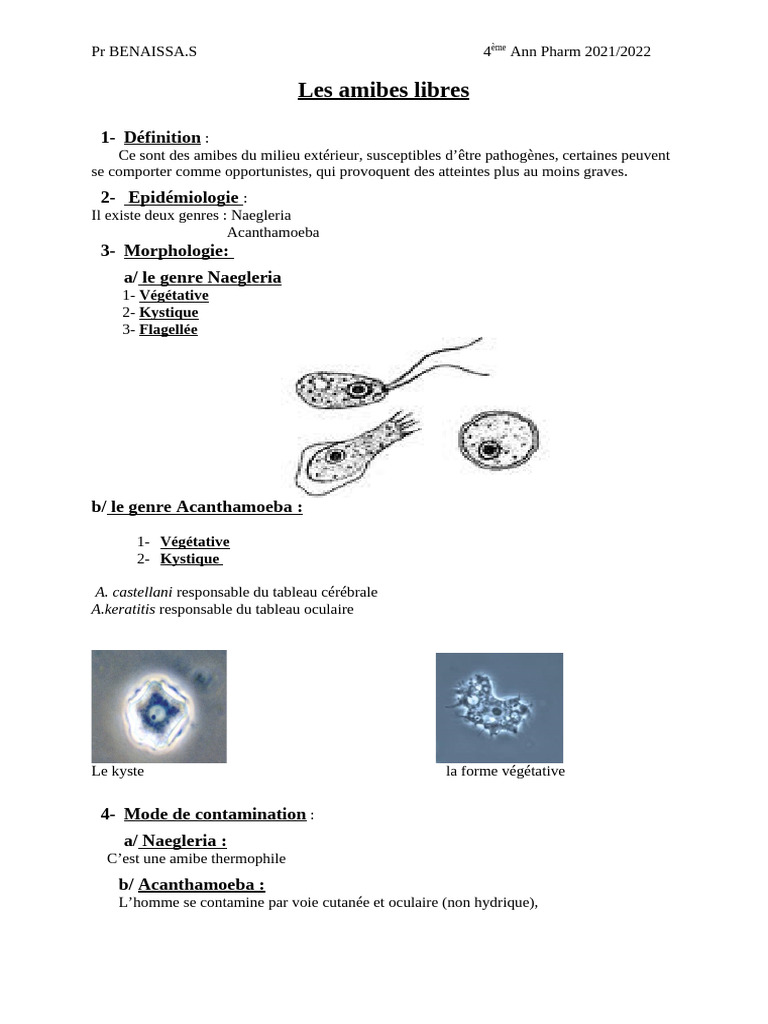 2 Partie2 - Les Amibes Libres 2022 | PDF