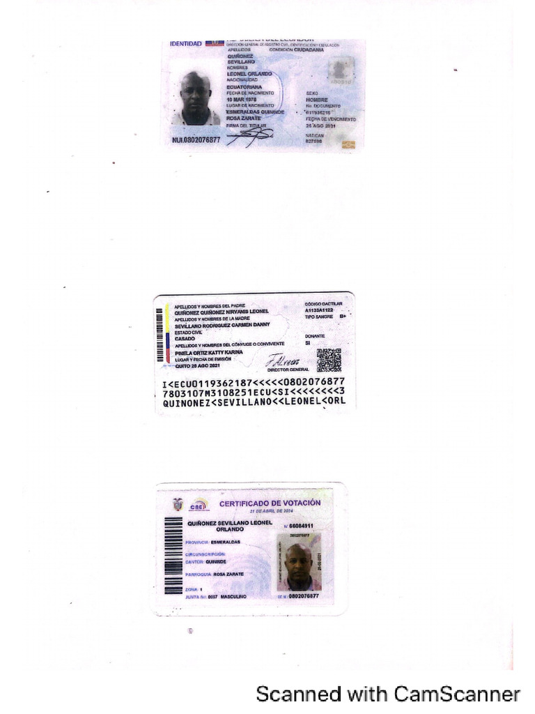 Cedula y Papel de Votación Actualizado Leonel | PDF